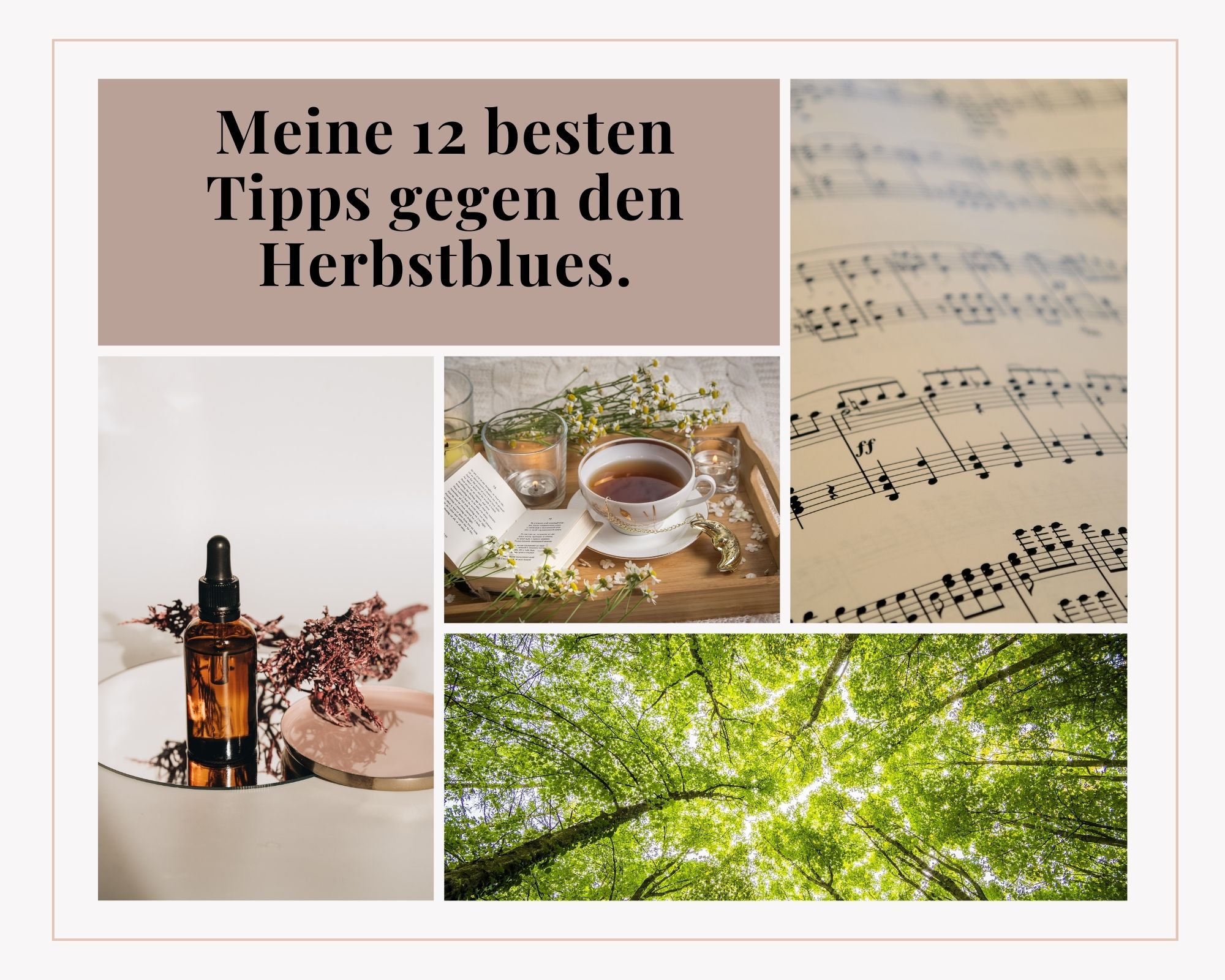 Meine 12 besten Tipps gegen den Herbstblues - Trost-Werkstatt