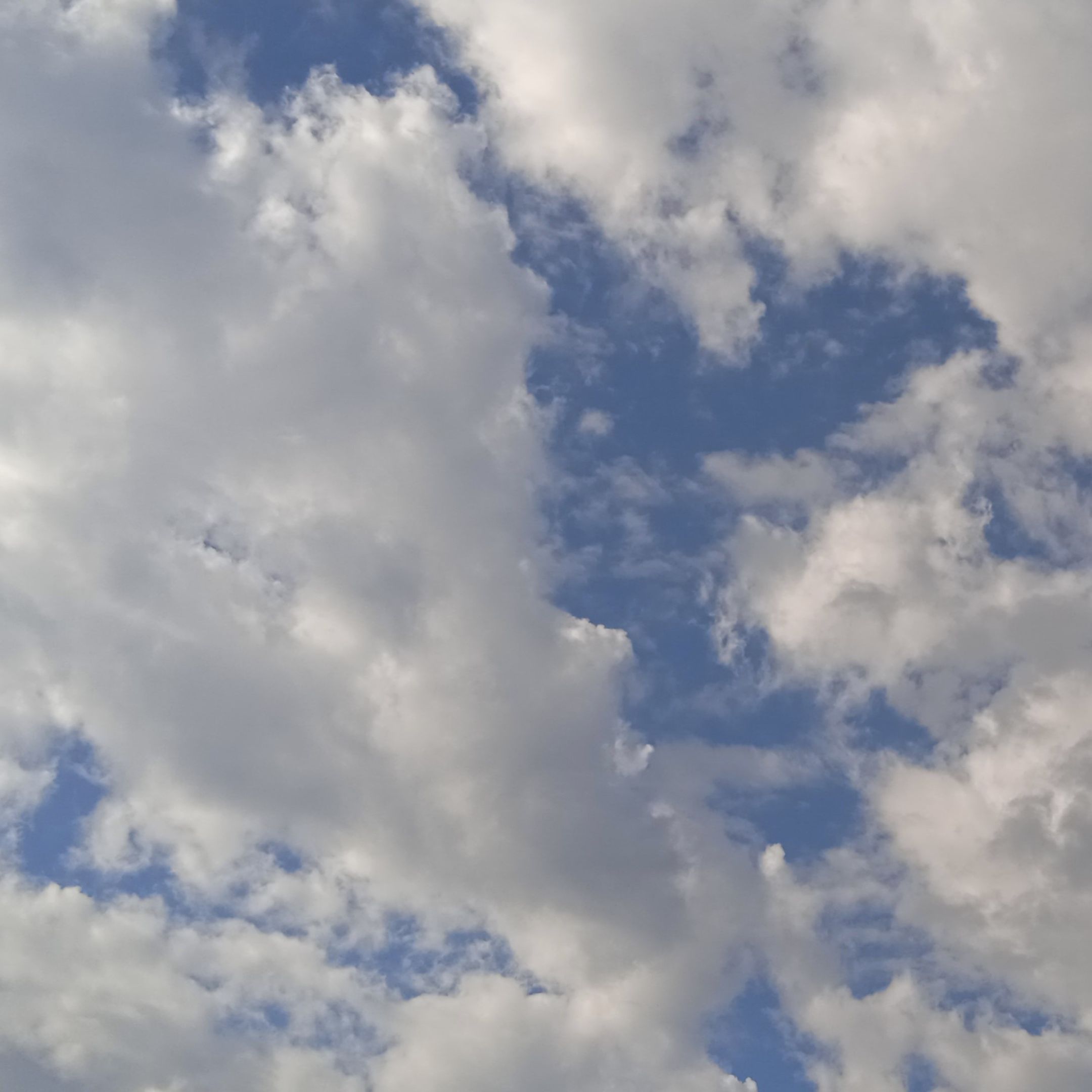 12 von 12 August 2023: Samstagsfreuden - Trost-Werkstatt