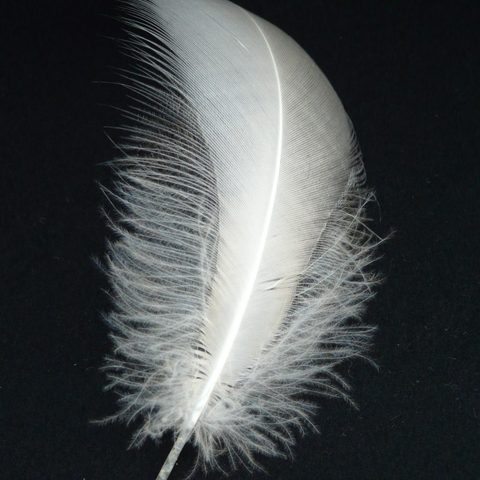 Wie Verstorbene durch Zeichen und Symbole zu uns sprechen - Trost-Werkstatt