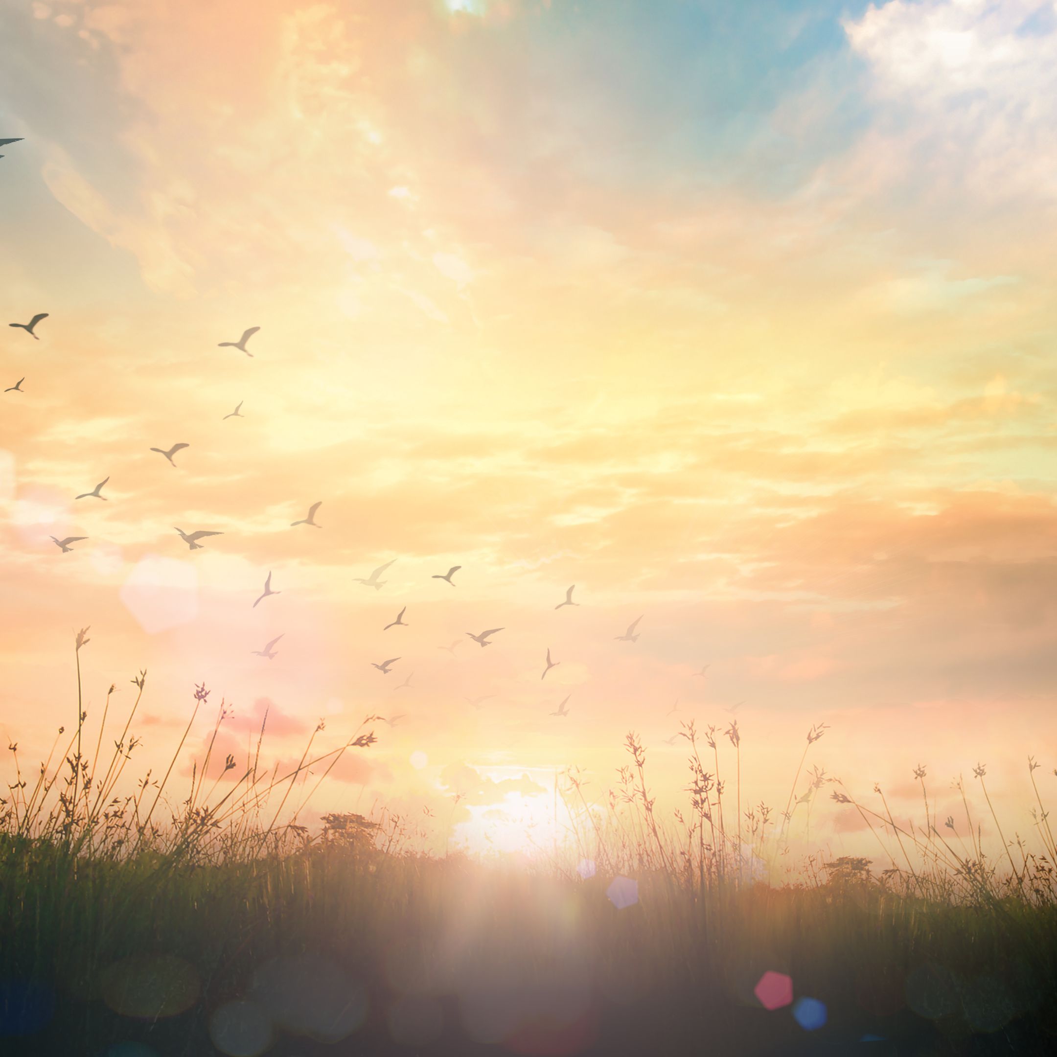 Was passiert beim Sterben? 10 spirituelle Perspektiven auf den Tod und ...